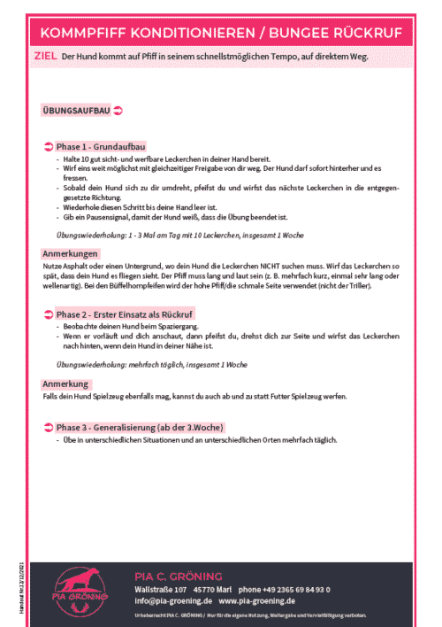 Rückruf- & Stopp-Training Übungs-Handouts - Pia Gröning